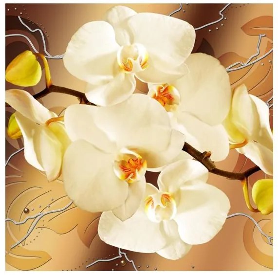 Krásný obraz orchidejí (40x40 cm), 40 dalších rozměrů