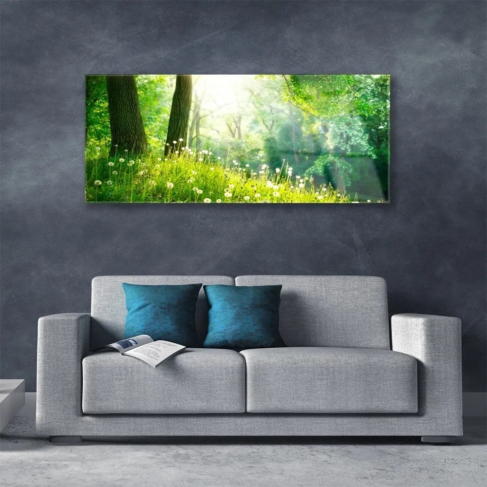 akrylový obraz Louka Příroda Rostlina 125x50 cm