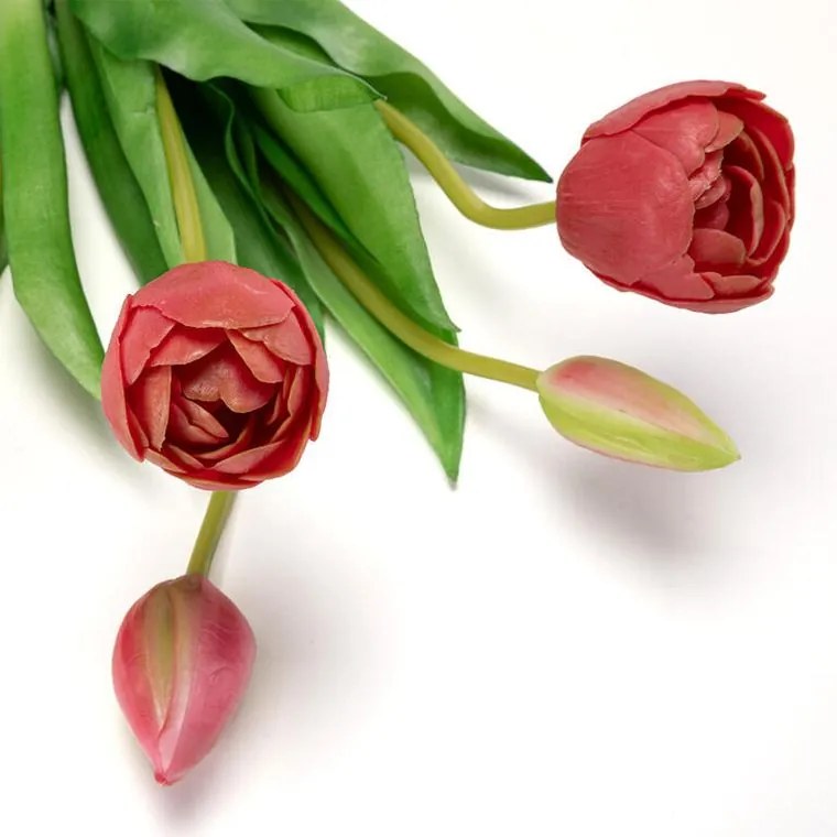 Svazek tulipány plnokvěté 39 cm, 5 ks