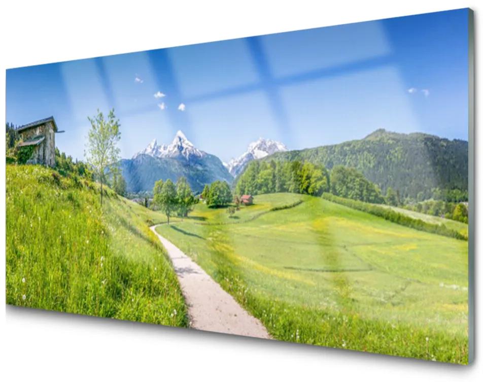 Plexisklo obraz Hory Louka Stezka Údolí