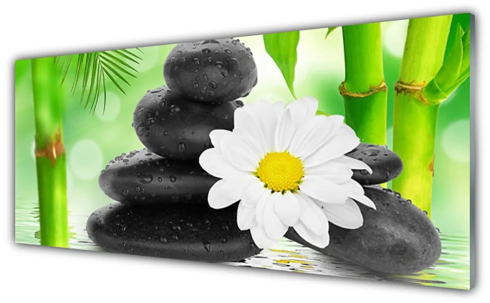 Plexisklo-obraz Bambus Kameny Zen Květ 125x50 cm