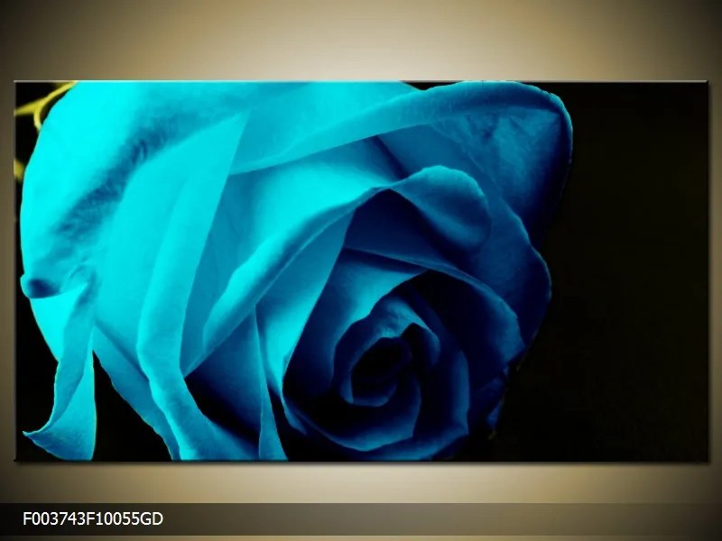 Obraz modré růže  (), 40 dalších rozměrů