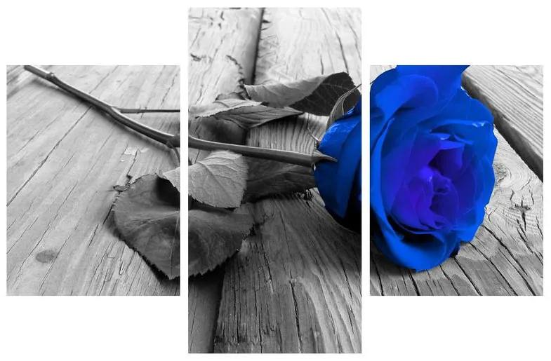 Obraz modré růže (90x60 cm)