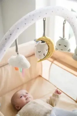 MoMi ZIZI Hrazda