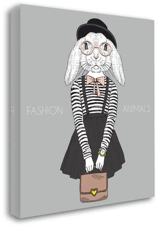 CARO Obraz na plátně - A Rabbit In A Skirt 30x40 cm