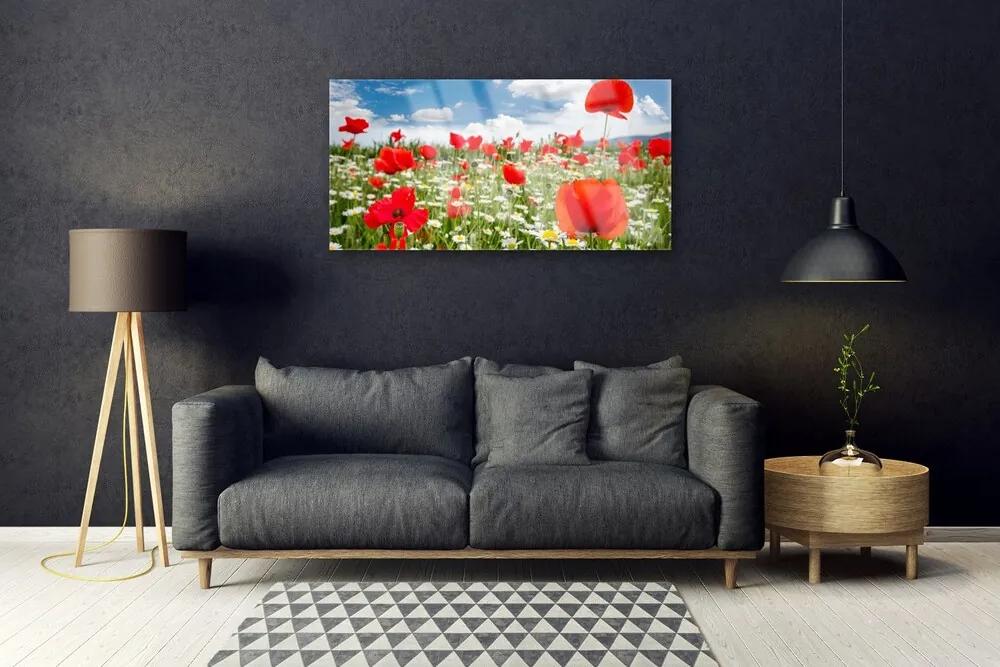 Obraz na skle Louka Květiny Příroda 120x60 cm