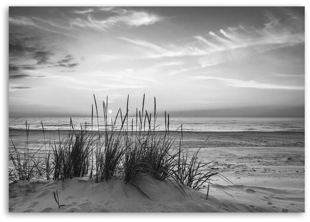 Gario Obraz na plátně Trávy na pláži - černobílý Rozměry: 60 x 40 cm