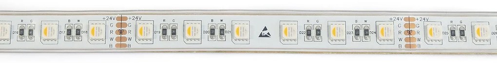 Indeluz 200DS-L1416FC0-00 24 V LED pásek Nilo RGB+W 2700K, 18,2+5,5W/m, 5m, IP67