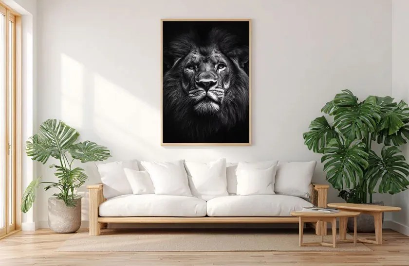 Král savany - obraz - Majestátní lev v černobílém stylu 22 - A4 – 210 × 297 mm - 169 Kč