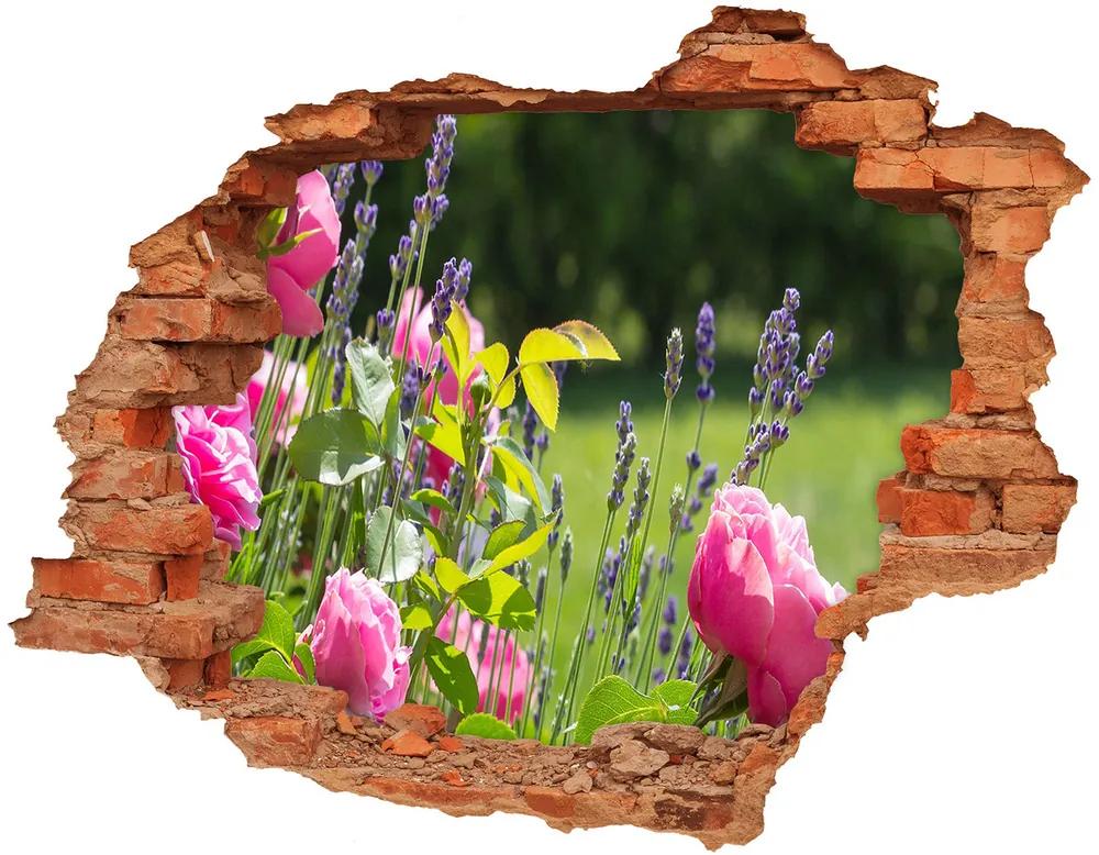 Wallmuralia Samolepící díra na stěnu Divoká růže 90x70 cm
