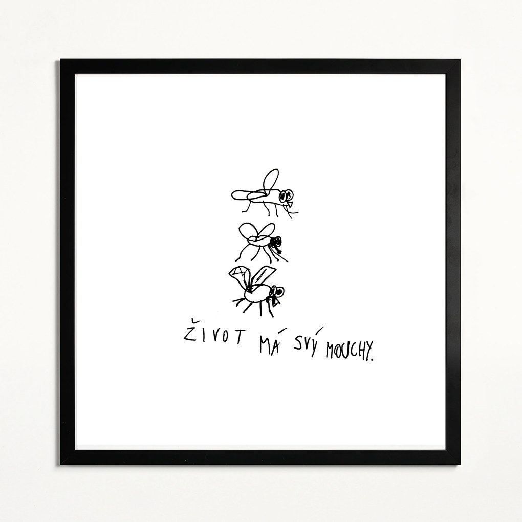 Honza Doležal / Zápisky umělce | Život má svý mouchy Rám: Černý, Velikost: 40 x 40 cm