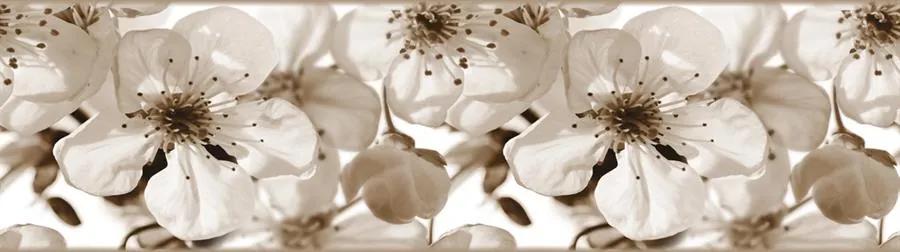 AG Design Samolepící bordura - Květy jabloně, 13,8cm x 5m,  WB 8216