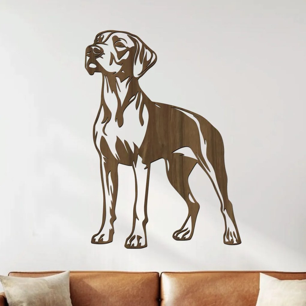 dřevo života Dřevěný obraz Anglický Pointer Zvolte rozměr (cm): 29x40, Zvolte barvu dekoru: Antracitová