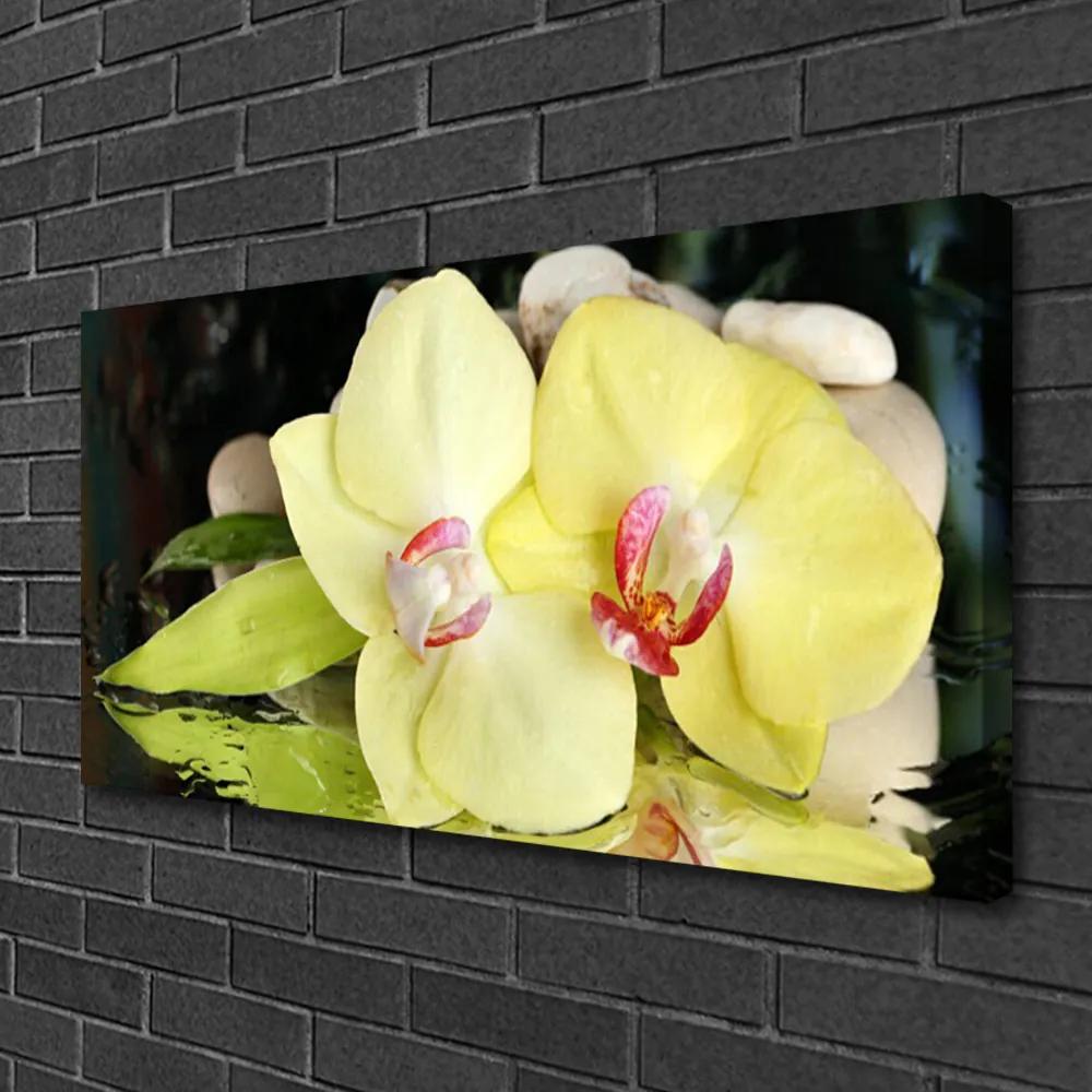 Obraz na plátně Okvětní Plátky Orchidej 140x70 cm