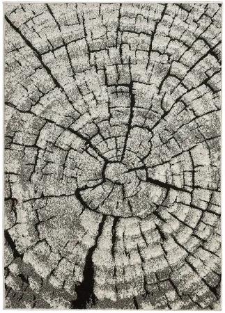Koberce Breno Kusový koberec PHOENIX 6021 - 0244, Hnědá, Vícebarevné, 240 x 340 cm