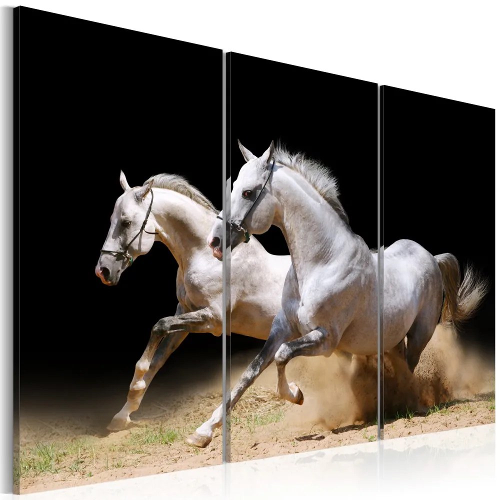 Obraz na plátně Bimago - Koně: síla a rychlost 60x40 cm