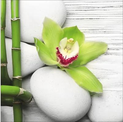 Obraz skleněný Flowers St.Bamboos II, 30x30cm