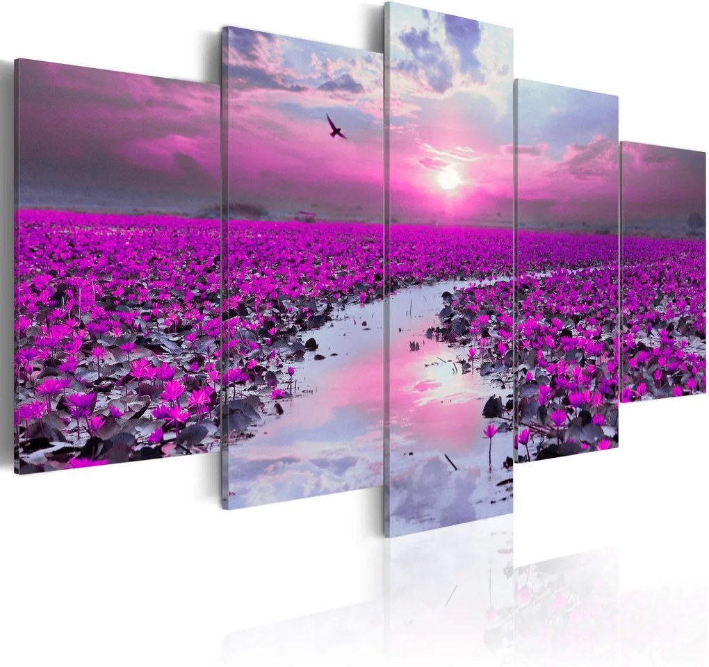 Obraz fialové lekníny + háčky a hřebíčky ZDARMA Velikost (šířka x výška): 200x100 cm