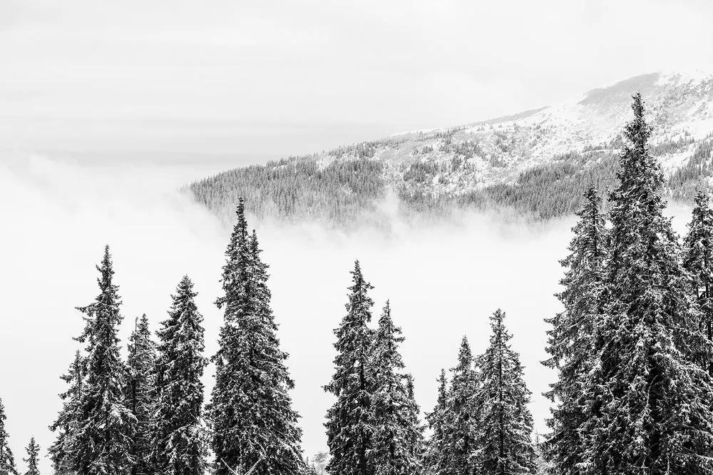 Tapeta zasněžené stromy v horách - 450x300 cm