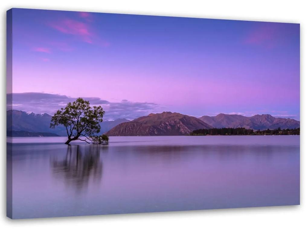 Obraz na plátně Tree Lake Purple - 100x70 cm