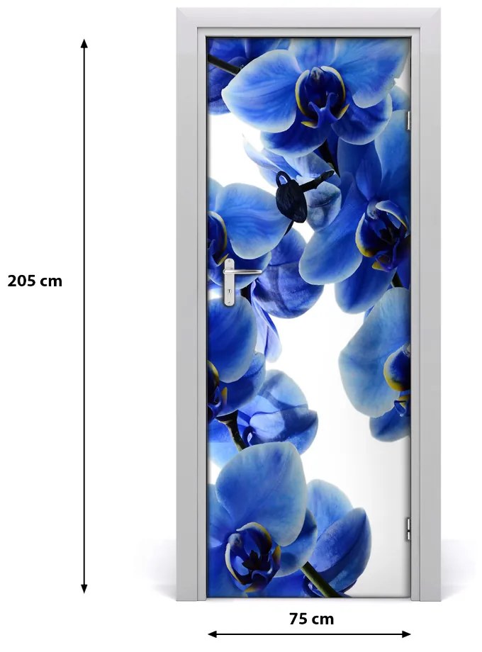 Fototapeta na dveře Květ orchideje 75x205 cm