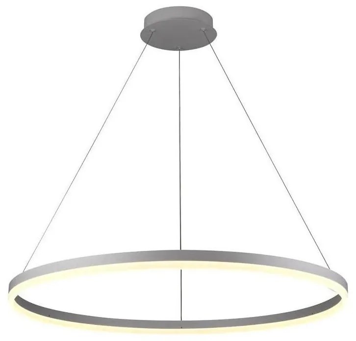 Brilagi -LED Stmívatelný lustr na lanku CIRCLE LED/55W/230V 3000-6500K stříb.+DO