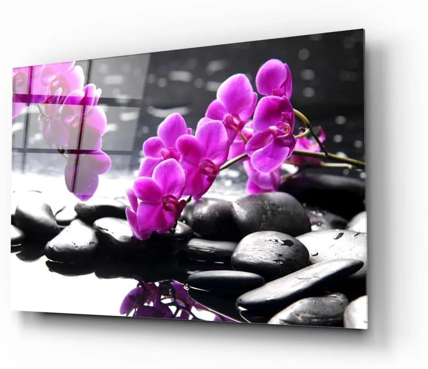Skleněný obraz Insigne Orchid