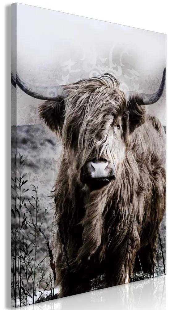 Obraz - Kráva z Vysočiny - sépie 80x120