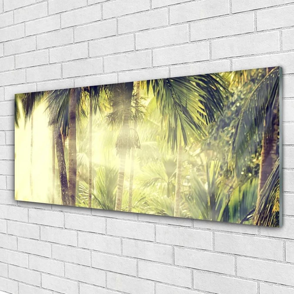akrylový obraz Les Palmy Stromy Příroda 125x50 cm