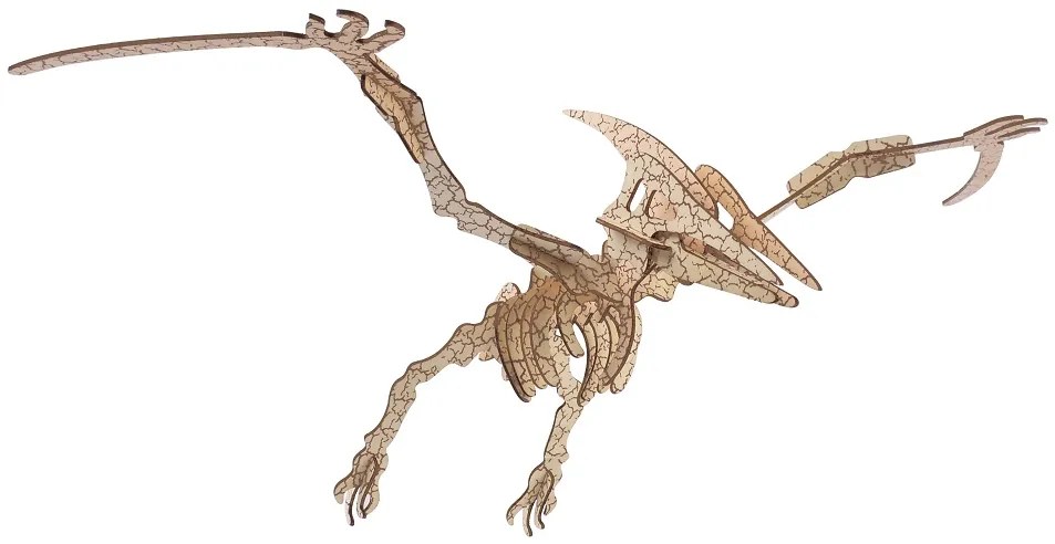 Woodcraft Dřevěné 3D puzzle Pterosaur