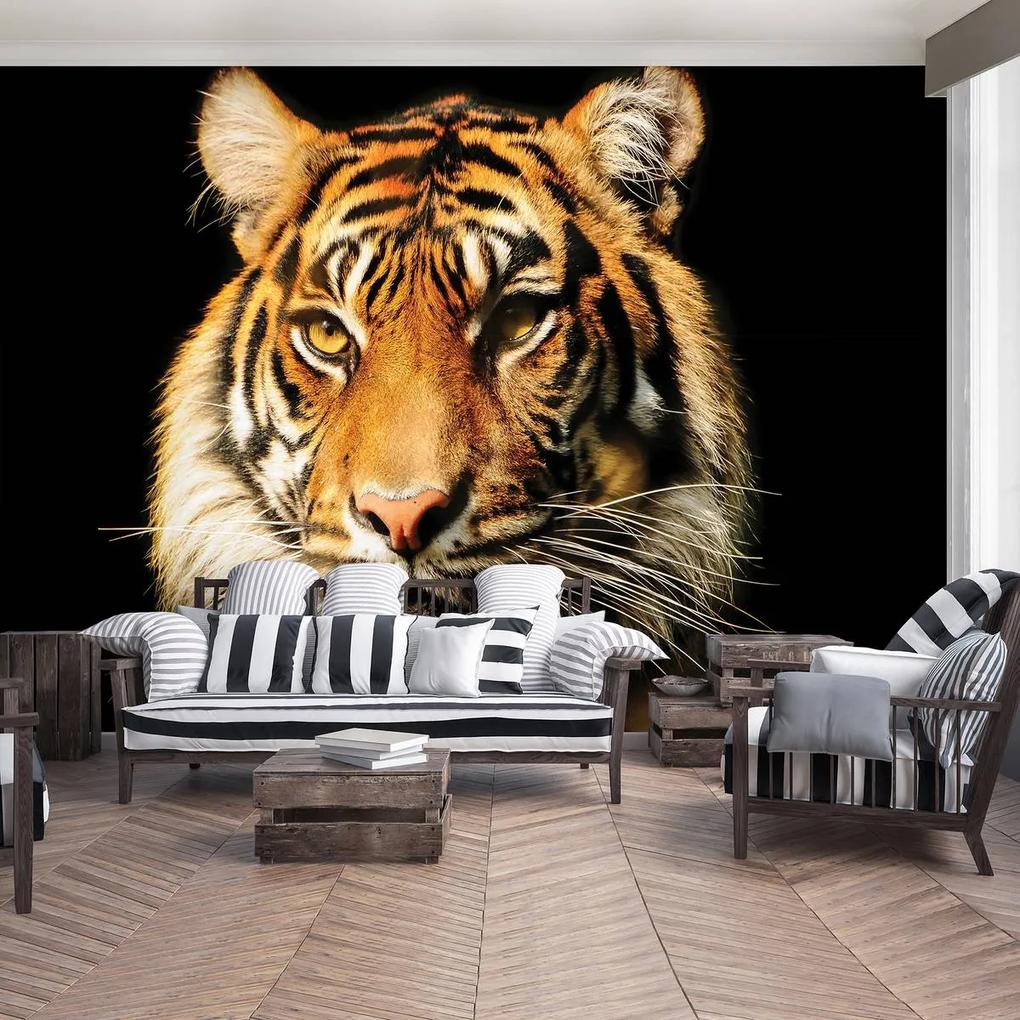 Fototapeta - Majestátný tygr (254x184 cm)