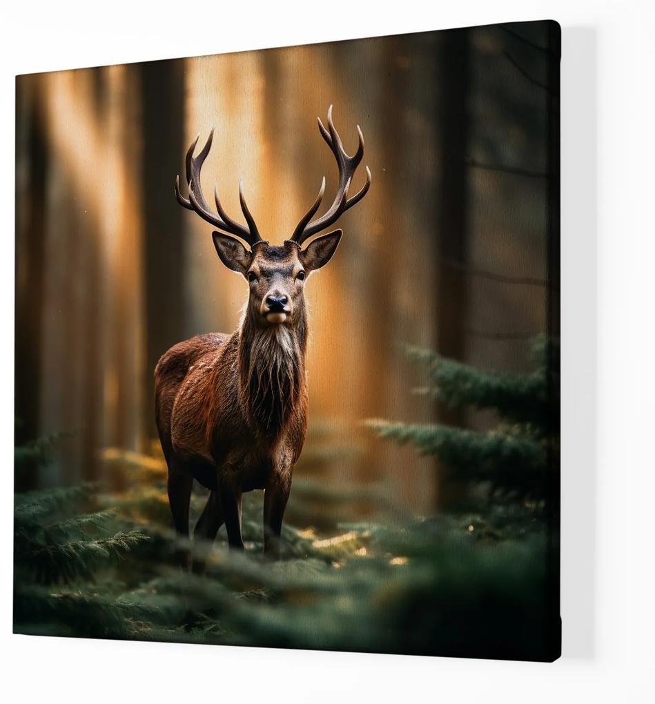 Obraz na plátně - Jelen hrdě stojí v jehličnatém lese FeelHappy.cz Velikost obrazu: 80 x 80 cm