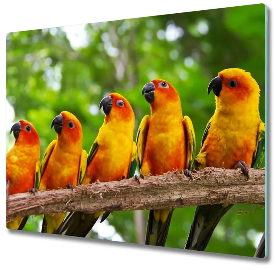 Skleněná krájecí deska Papoušci na větvi 60x52 cm