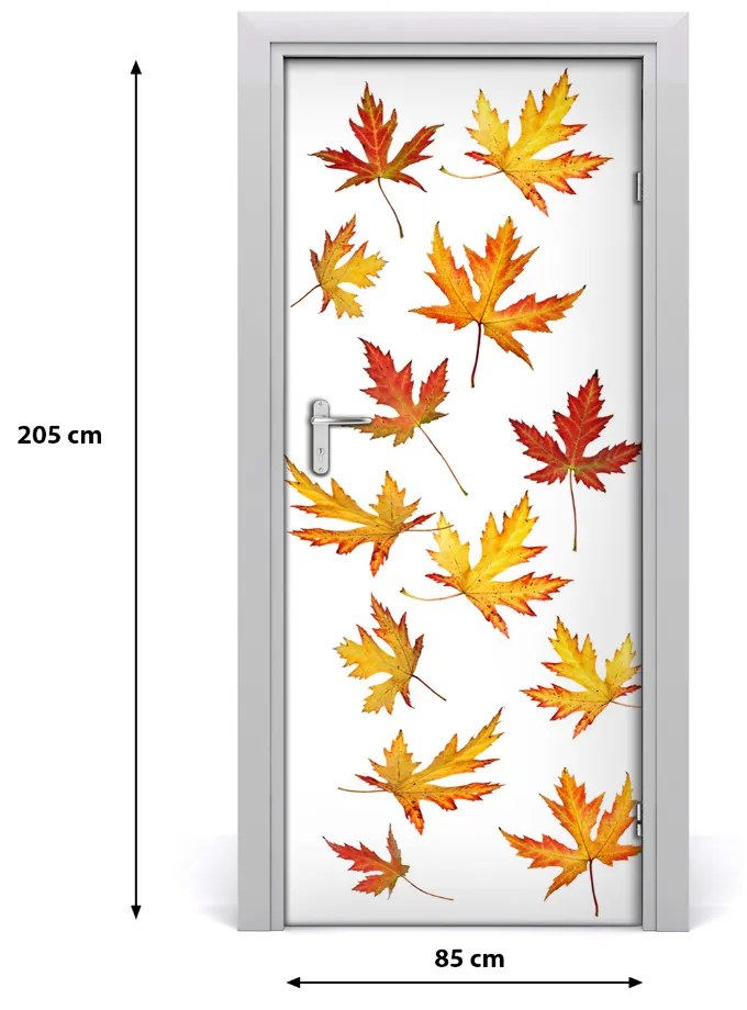 Fototapeta na dveře Podzimní květiny 85x205 cm