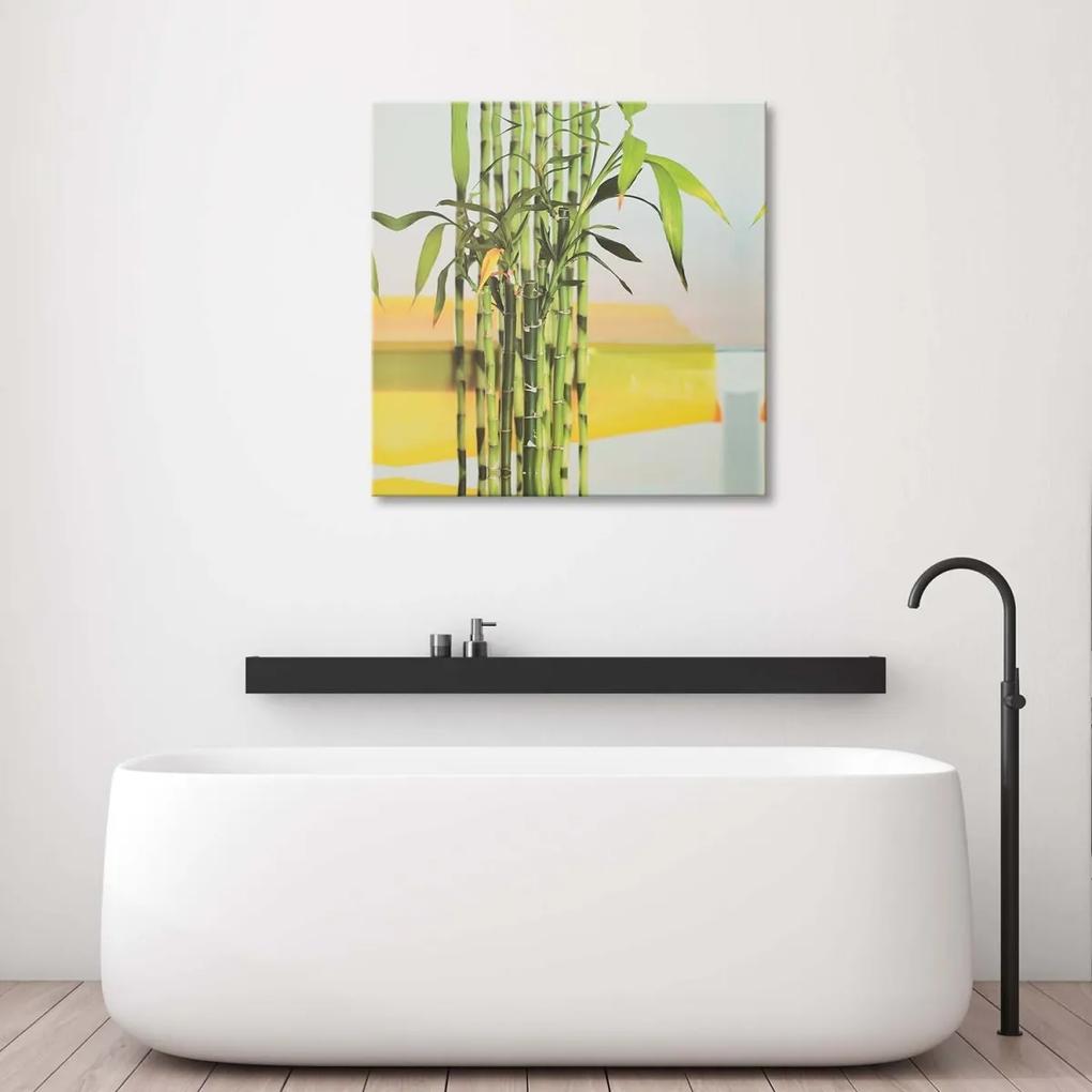 Obraz na plátně Bamboo Leaf Zen Spa - 40x40 cm