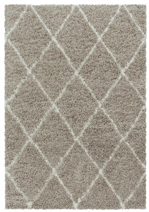 Hans Home | Kusový koberec Alvor Shaggy 3401 beige - 200x290