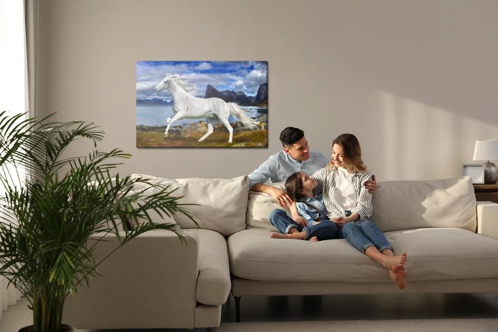 Obraz Kůň Ve Cvalu Nedostatek Nedostatek Plátno Canvas 30x20