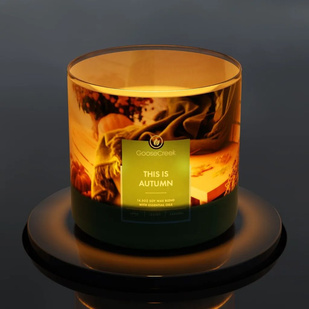 Goose Creek Candle svíčka This Is Autumn, 411 g