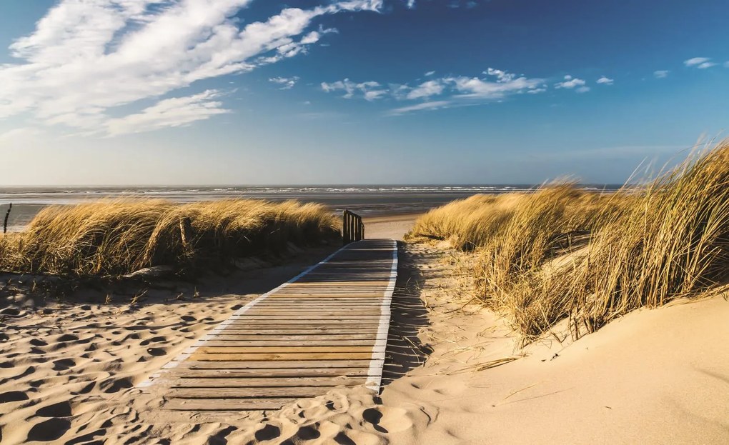 Fototapeta Beach on a sunny day vlies 104 x 70,5 cm