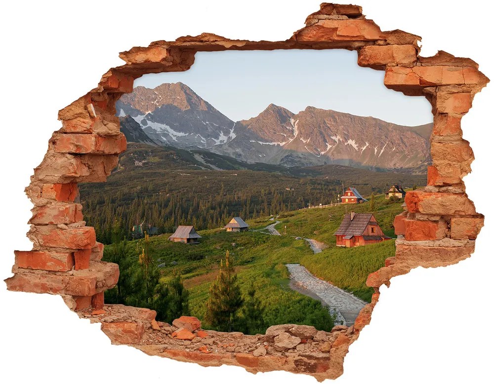 Wallmuralia Díra 3D ve zdi na stěnu Louka v Tatrách 90x70 cm