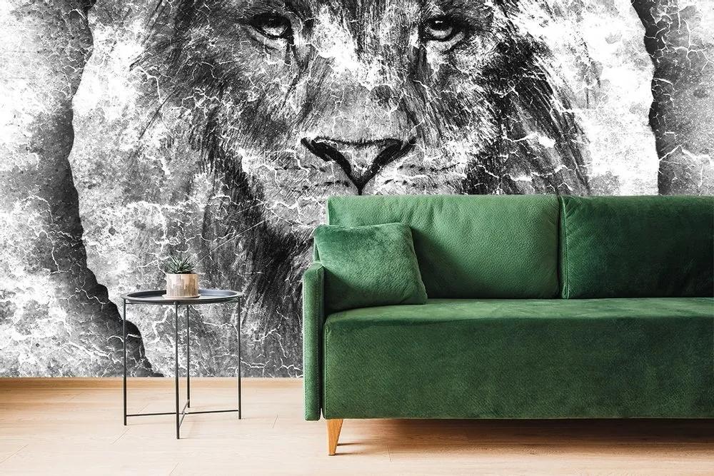 Samolepící tapeta tvář lva v černobílém provedení - 225x150 cm