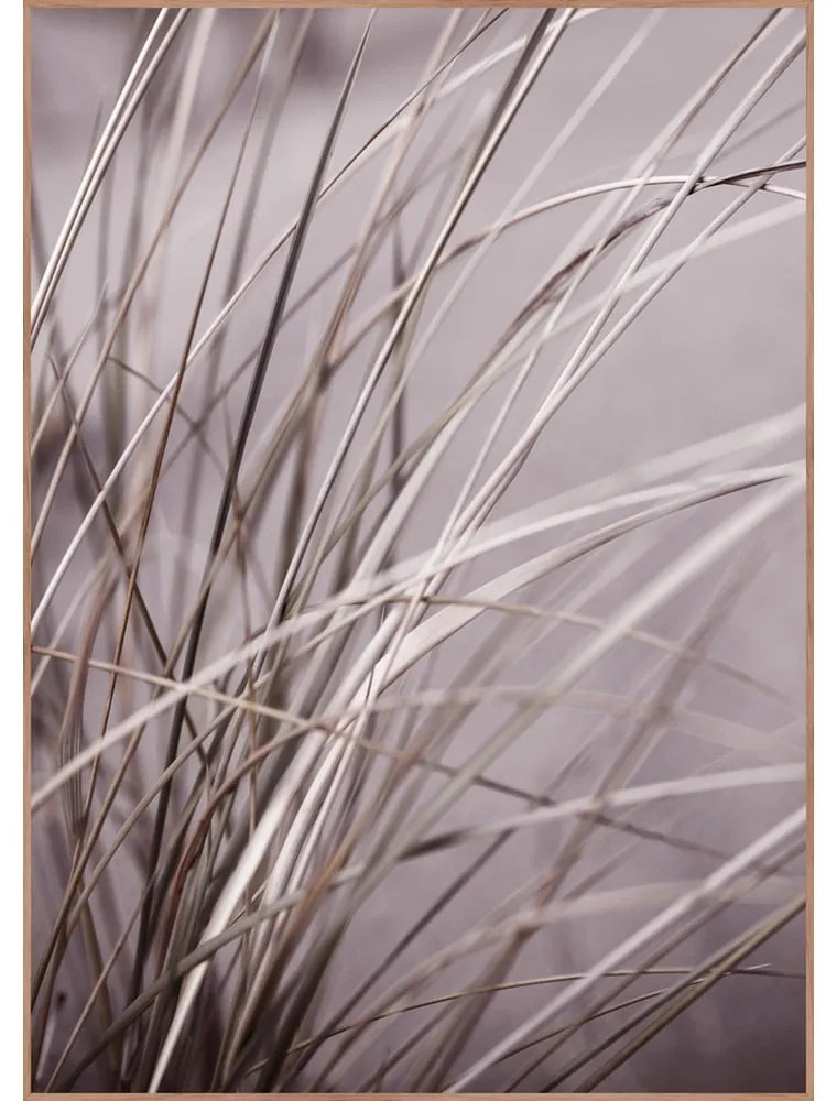 Obraz 50x70 cm Mellow Grasses 1 – Malerifabrikken