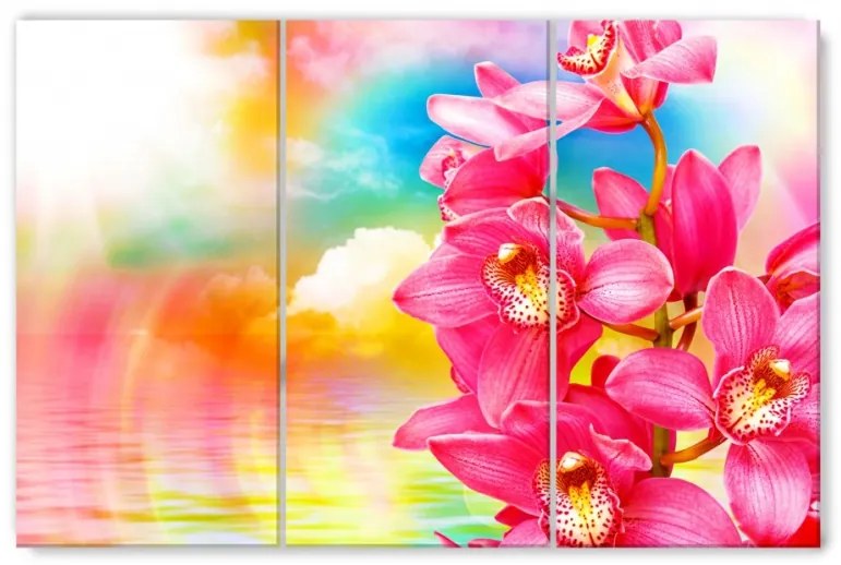 Malvis ® Vícedílný obraz - Orchidej Velikost: 120x80 cm