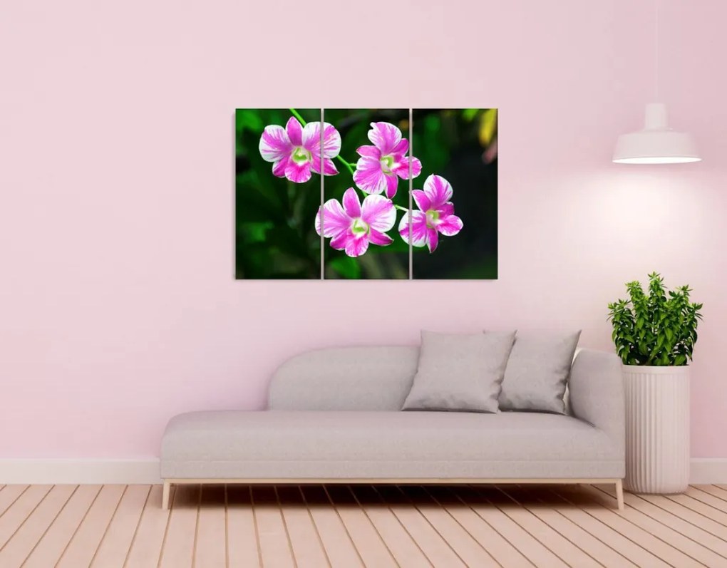 Malvis ® Vícedílný obraz - Orchidej v přírodě Velikost: 120x80 cm