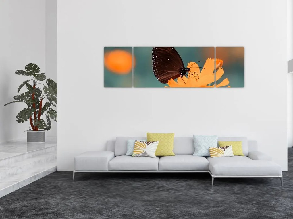 Obraz - motýl na oranžové květině (170x50 cm)