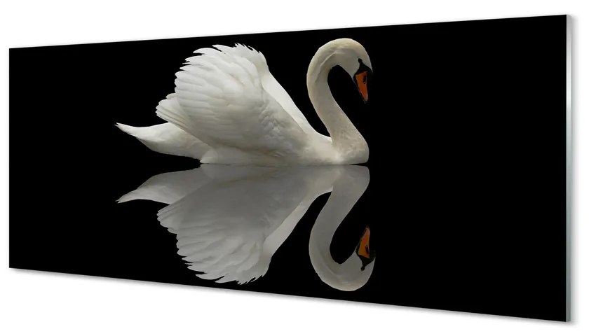 akrylový obraz Swan v noci 120x60 cm