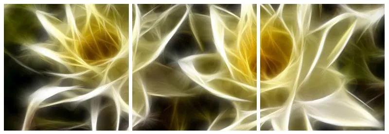 Abstraktní obraz - květiny (120x40 cm), 40 dalších rozměrů