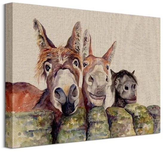 Obraz na plátně Osli a kůň Johnny, Freckle, Halfpint Bannon Jane 40x30cm WDC92942