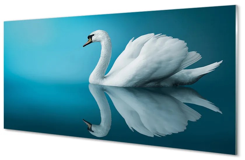 Obraz na skle Swan ve vodě 120x60 cm