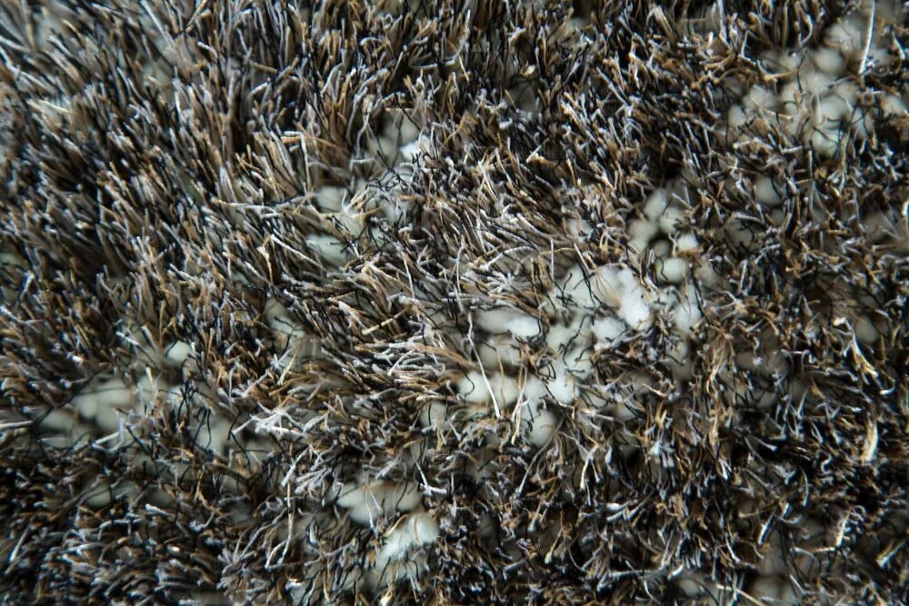Flair Rugs koberce Kusový koberec Pearl Brown ROZMĚR: 120x170